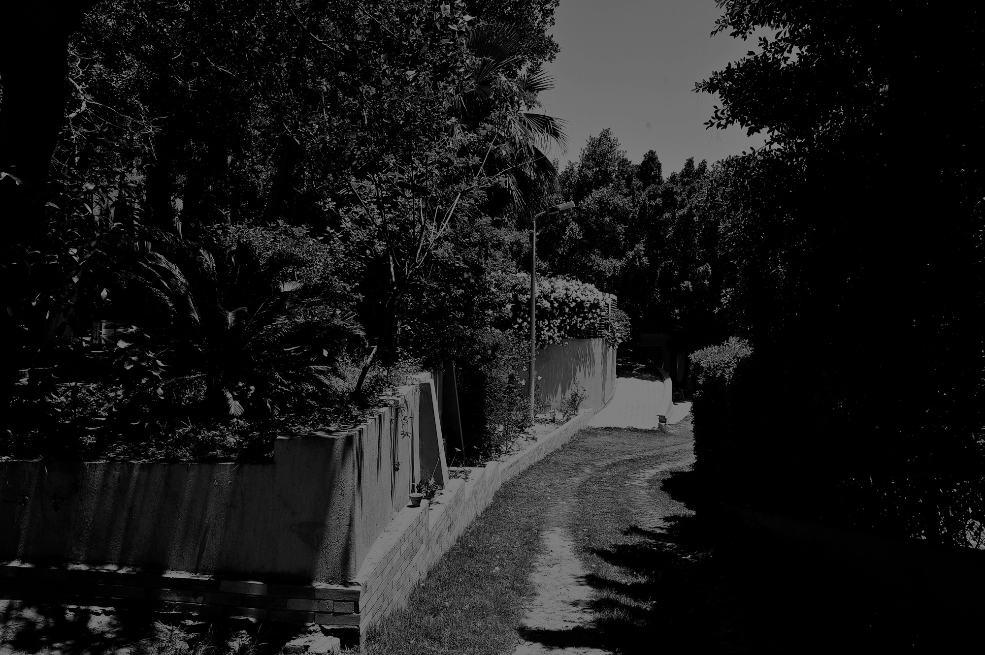 TREATMENT UNITS – The Behman hospital